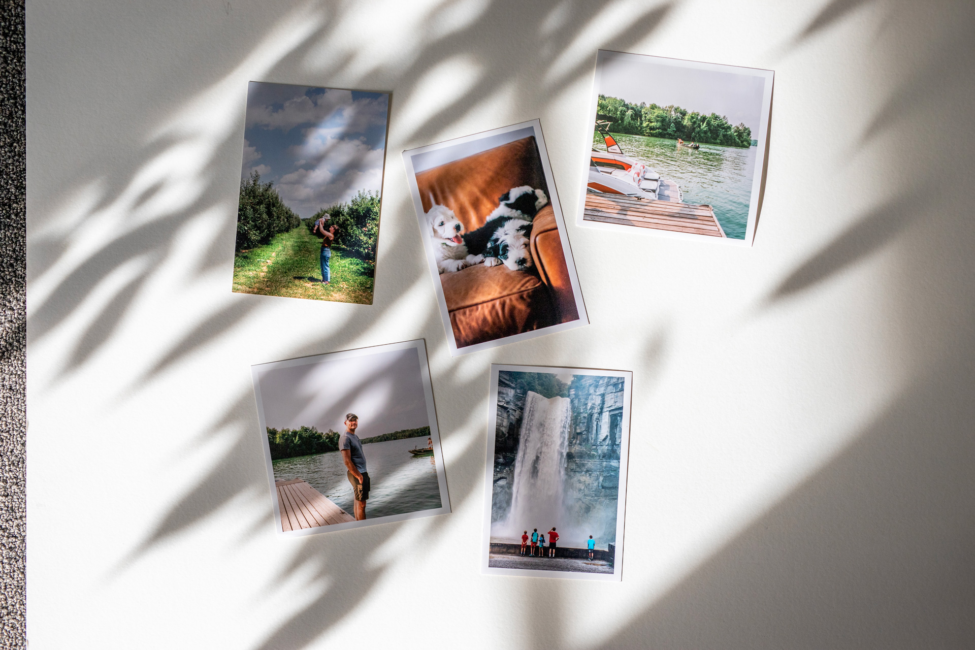 Photo Printing Near York, PA: Exceptional Digital & Film Prints